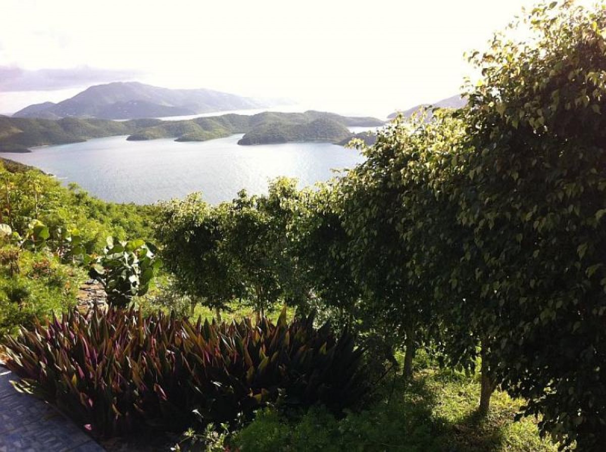 Moonswept - villa Moonswept St John | Isle Blue